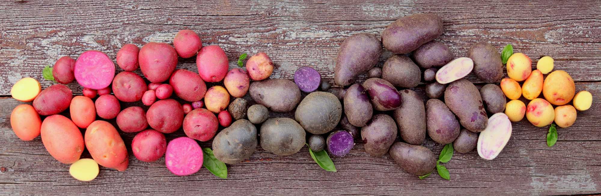 Smart Vision Works | KPM Analytics